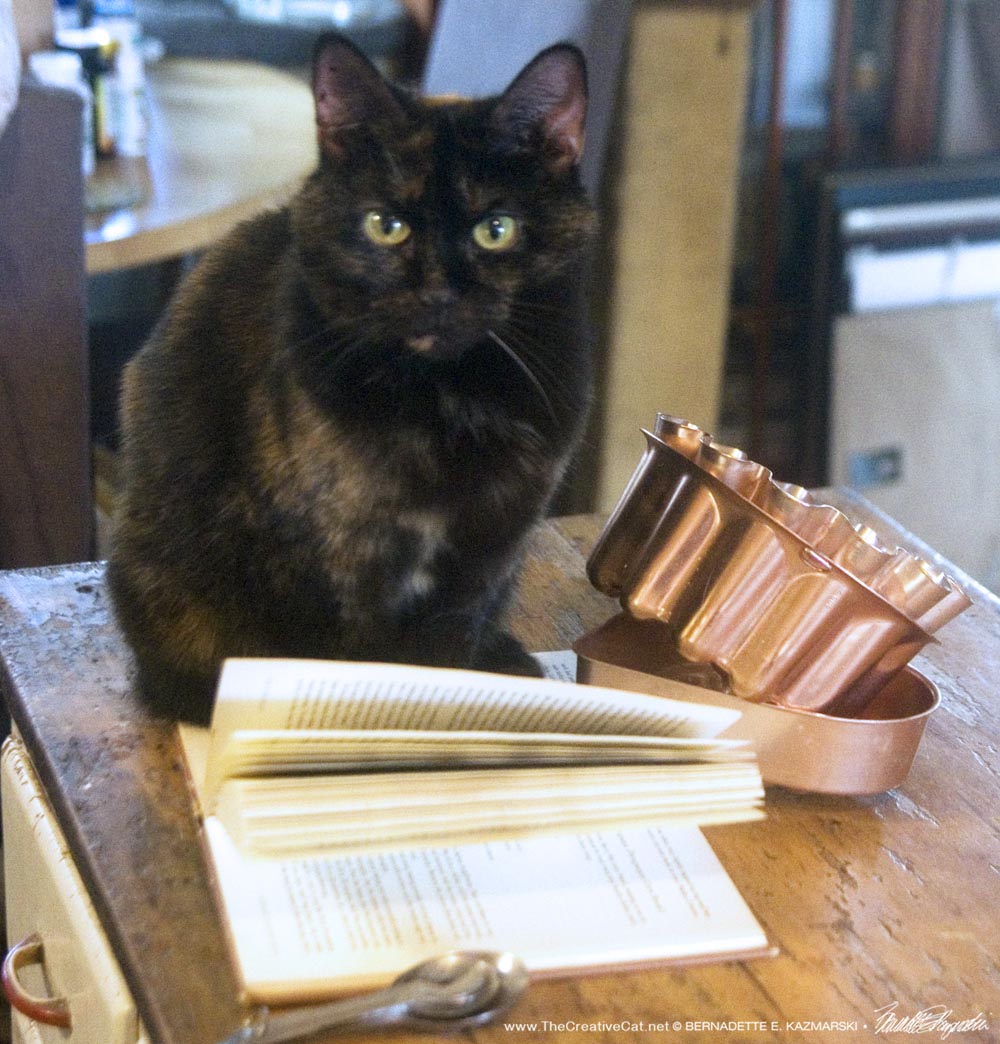 Daily Photo: Sienna's Ready to Bake Something - The Creative Cat